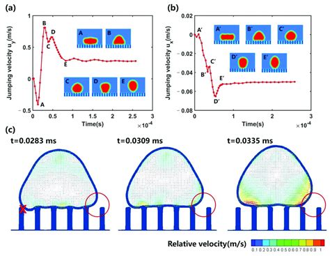 Time Evolution Of Velocity And Morphology During The Coalescence Download Scientific Diagram