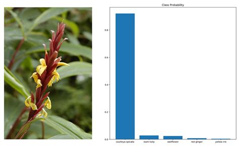Benchmarking Inference Speed Across Image Classification Models In Ten – peerdh.com
