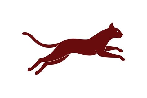 Premium Vector Jumping Cat Vector Illustration