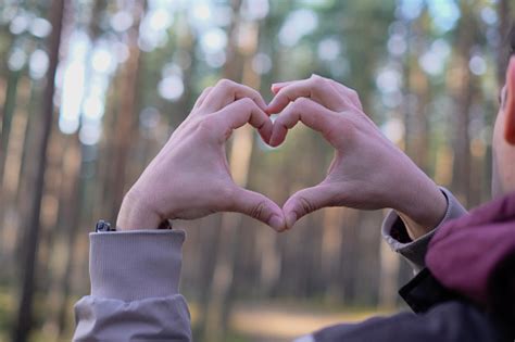 남자의 손은 숲 풍경을 배경으로 사랑과 감정을 상징하는 마음으로 접혔다 Junts Pel Sí에 대한 스톡 사진 및 기타 이미지