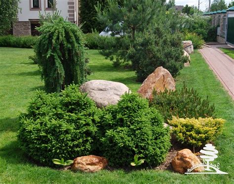 Хвойники в ландшафтном дизайне: 50 идей для вдохновения | Живу за городом