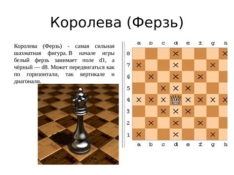 Тема 2 Шахматные фигуры