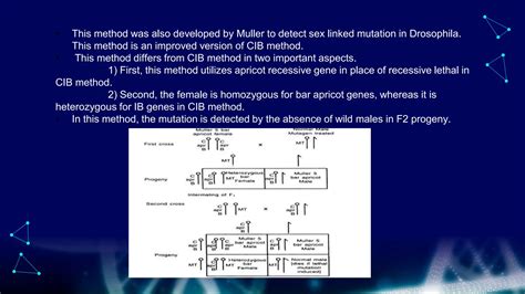 Detection Of Mutation By Clb Method Pptx