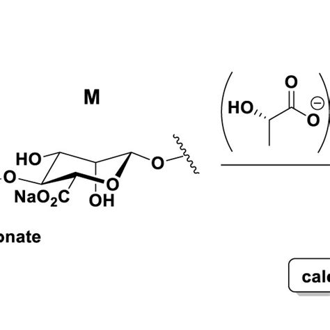 Synthesis Of Calcium Alginate With Calcium Coordinated To The Download Scientific Diagram