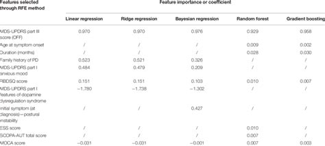 The Feature Importance Or Coefficient Of Features Selected Through Rfe Download Scientific