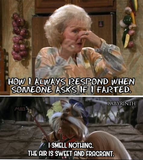 Who Farted Meme By Moviefan7983 Memedroid