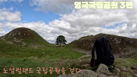영국국립공원 뿌수기 3탄 노섬벌랜드국립공원ㅣ지금은 사라진 로빈후드 나무를 찾아시카모어 갭ㅣ잉글랜드 국립공원편ㅣ영국워홀