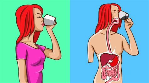Natural Appetite Suppressants That Really Work Youtube