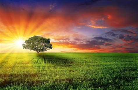 Rays Of Sunshine Wallpapers Top Free Rays Of Sunshine Backgrounds Wallpaperaccess