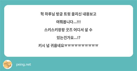 헉 하루님 방금 트윗 올리신 내용보고 여쭤봅니다 스키스키왕왕 굿즈 어디서 살 수 Peing 質問箱