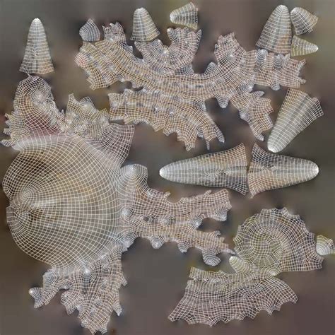 3d Angaria Delphinus Melanacantha Remastered Model Turbosquid 2359831