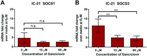 Ganciclovir Gcv Treatment Of Mcmv Infected Mouse Macrophages Reduces