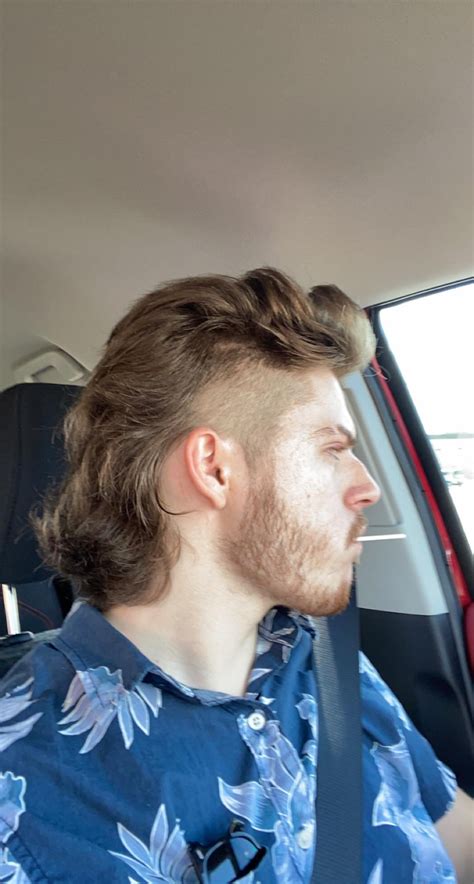 Cut My Beautiful Luxurious Mullet Massive Mistake Rhair