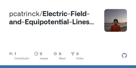 Electric Field And Equipotential Lines Visualizationlab De Mag 01