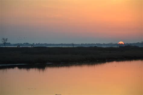 Wallpaper Sunlight Landscape Sunset Sea Lake Water Reflection