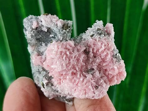 Rare Rhodochrosite With Quartz From Davidkovo Ore Filedbulgariapink