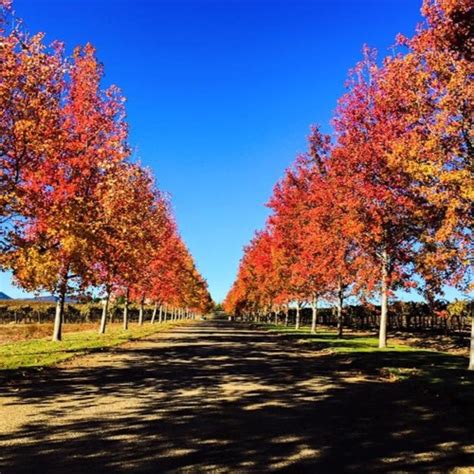 Stream Rizal Risjad Music Listen To Songs Albums Playlists For Free