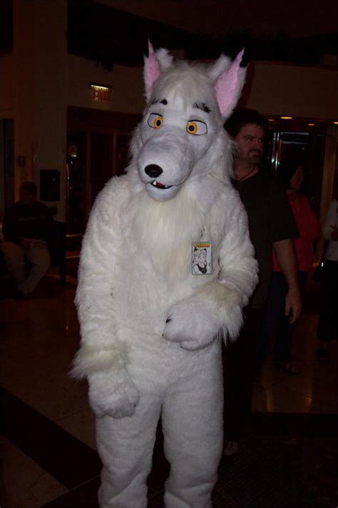 The Fursuit Archive Sonicgod Ac2006 0614 039