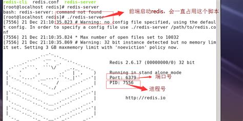 Redis特性与部署 Csdn博客