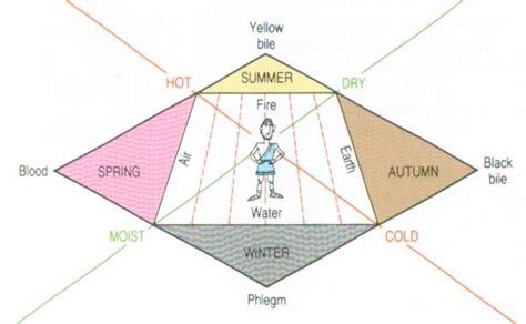 To Understand The Theory Of The Four Humours You Need To Understand The
