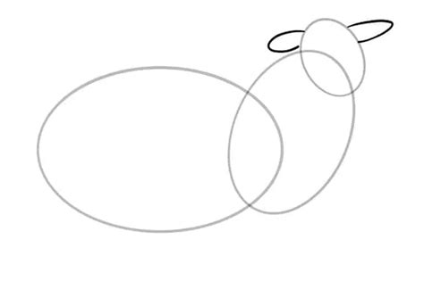 How To Draw A Sheep Create Your Own Lamb Sketch