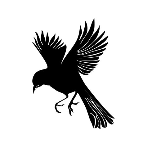 Bird Is Flying 13412220 Vector Art At Vecteezy