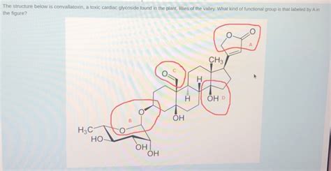 Solved The Structure Below Is Convallatoxin A Toxic Cardiac
