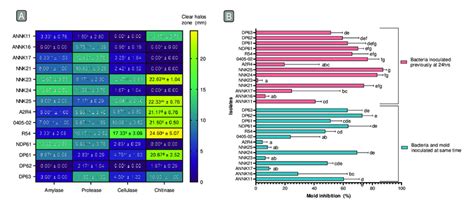 A Production Of Extracellular Enzymes Amylase Protease Cellulase Download Scientific