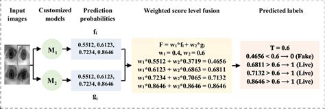 An Example Of Our Proposed Weighted Score Level Fusion In Ividnet