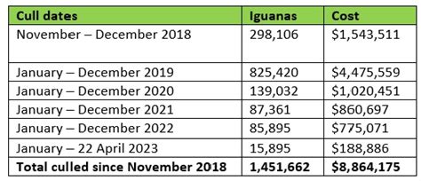Iguana Cull Numbers Cayman Compass