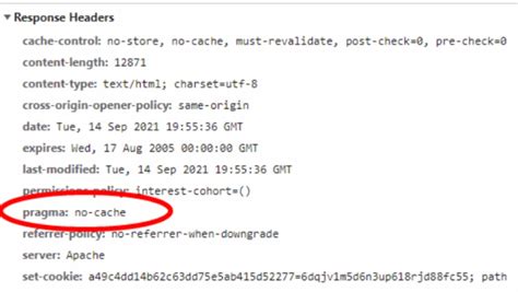 HTML No Cache Ensuring Fresh Content Delivery To Users