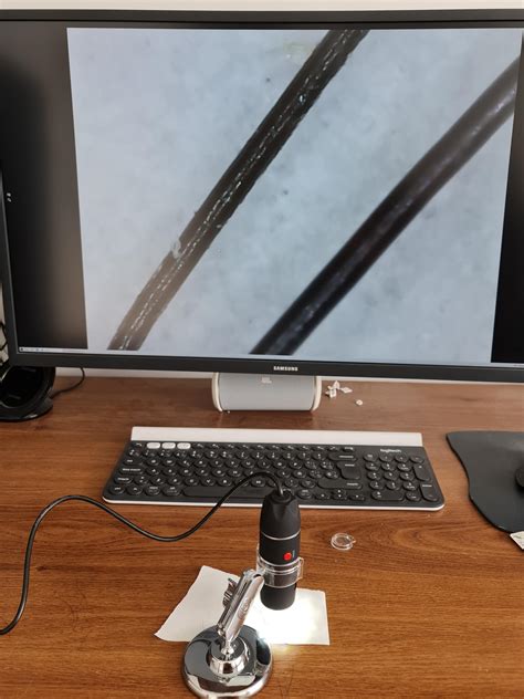 I Ve Always Wanted To Get A Microscope But Being A Functional Adult I Always Prioritize More