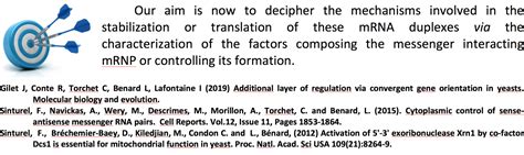 RNA Functional Regulation and Surveillance Laboratoire de Biologie Moléculaire et Cellulaire