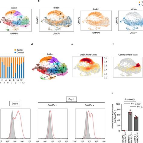Single Cell Rna Seq Identifies A Subtype Of Tumor Supporting Alveolar Download Scientific