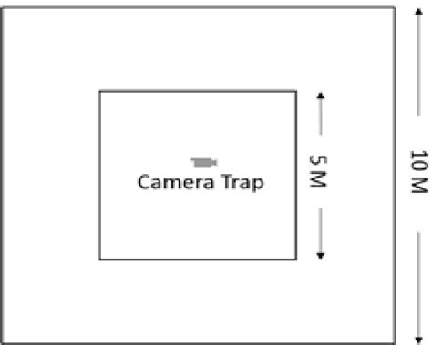 Vegetation Analysis Plots Download Scientific Diagram