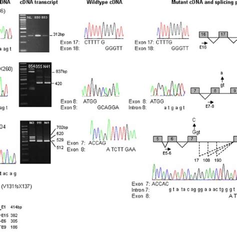 Genomic Dna And Transcript Analysis Of Frameshift Mutations A