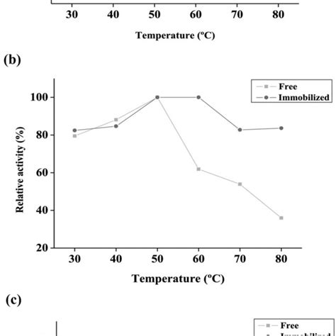Relative Enzymatic Activity Of Free And Immobilized α Amylase At Download Scientific Diagram