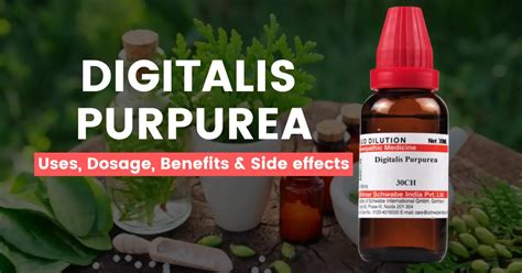 Digitalis Purpurea 30 200 1m Q Uses And Side Effects