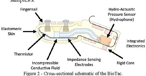 Figure 1 From Tactile Identification Of Objects Using Bayesian
