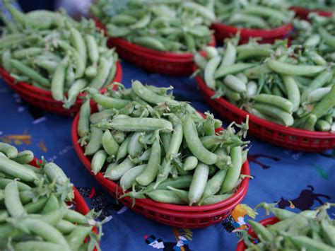 Snap Peas Mill City Farmers Market