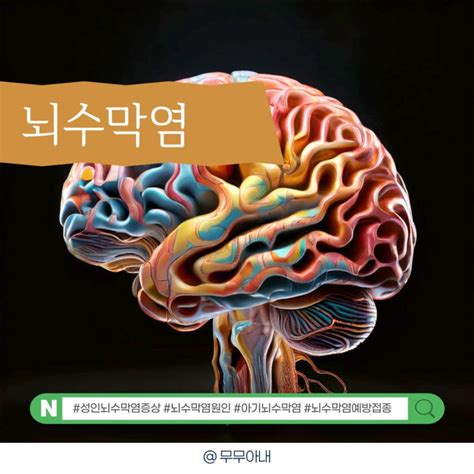성인 뇌수막염 증상 원인 아기 뇌수막염 후유증 예방 접종 네이버 블로그
