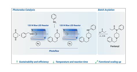 Synthesis Of Fentanyl Under Continuous Photoflow Conditions Organic Letters