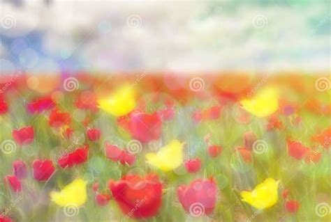 Summer Bokeh Stock Image Image Of Design Background 24787613