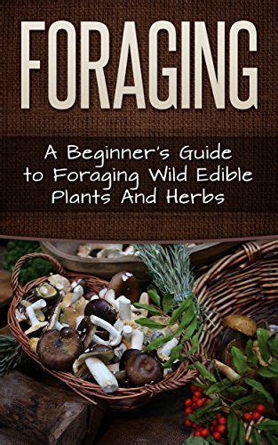 Robot Check Edible Wild Plants Edible Plants Wild Food Foraging
