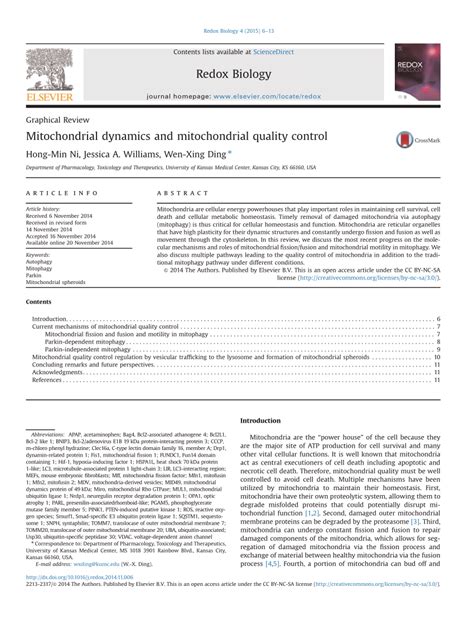 PDF Mitochondrial Dynamics And Mitochondrial Quality Control