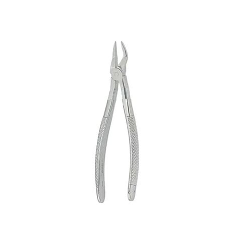 English Extracting Forceps No 39r