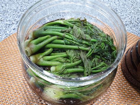 두릅장아찌 다오네 장아찌원액으로 두릅장아찌 만드는법