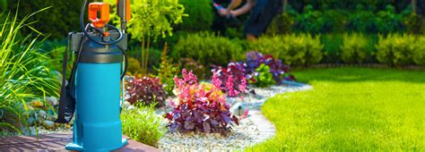 Nuisance Weed Spraying Program