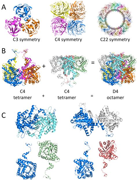 Common Symmetries In Protein Crystals A Cyclic Assemblies C3 C4 Download Scientific
