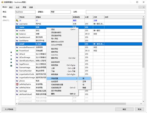 Ezdml模型中隐藏次要字段突出重点内容ezdml Csdn Csdn博客